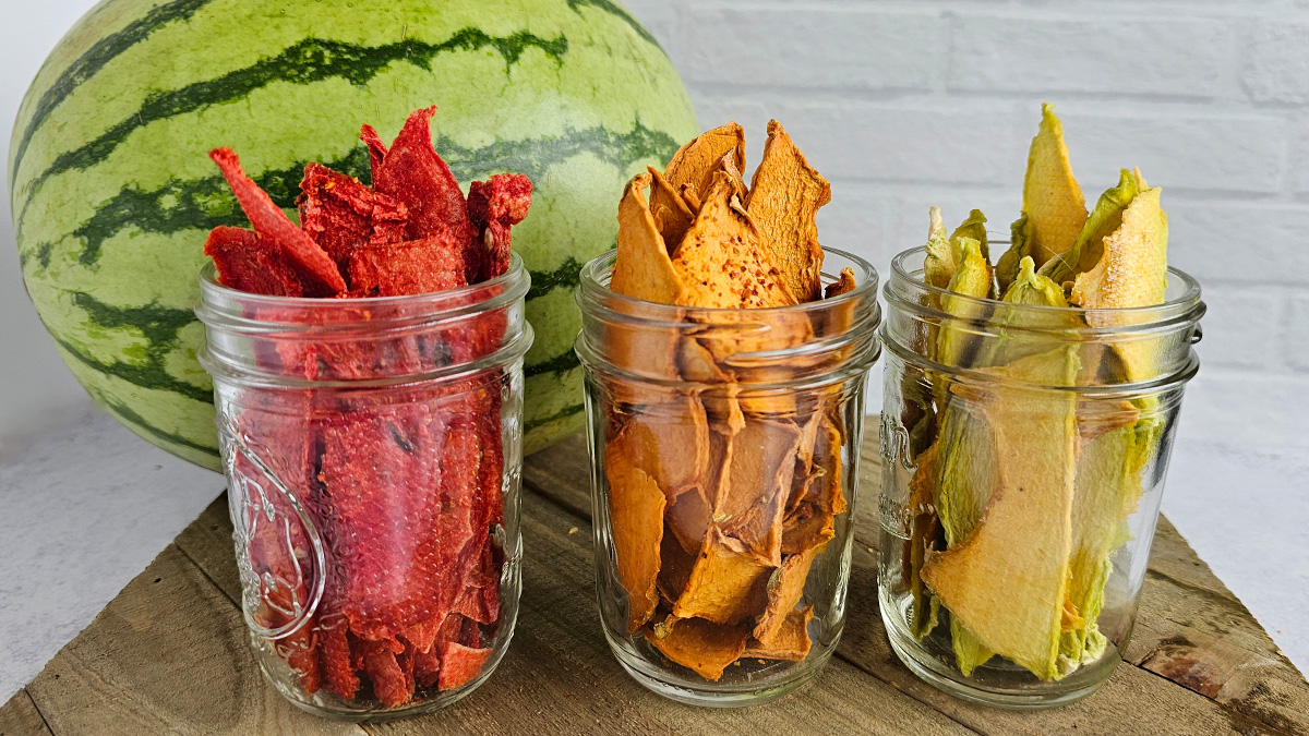 Making Melons Shelf-Stable by Dehydrating! - The Purposeful Pantry