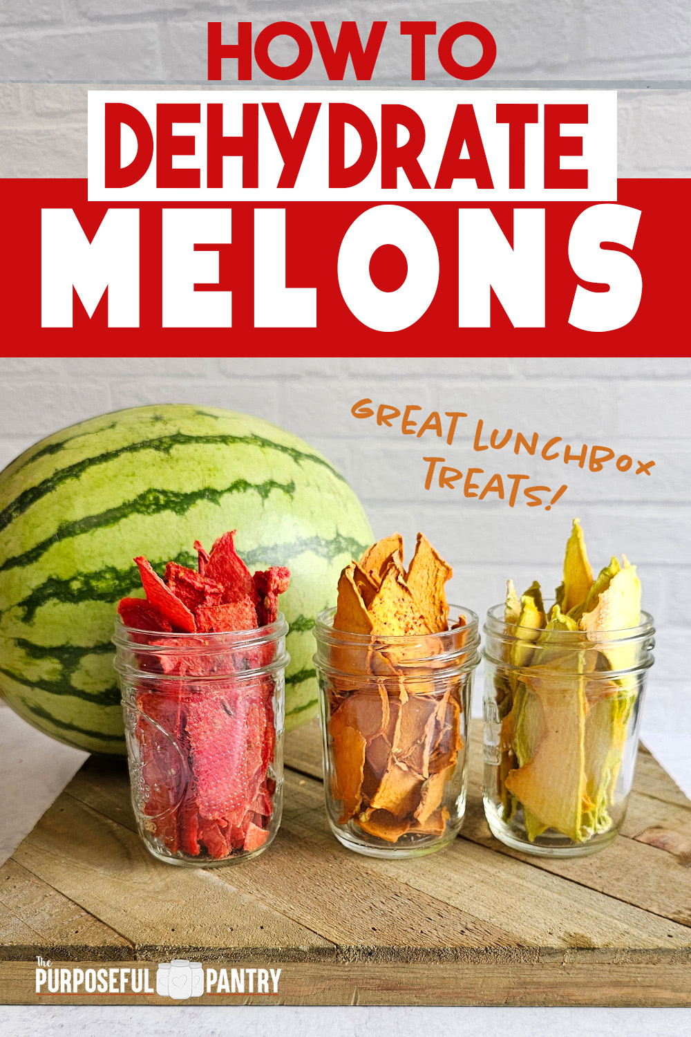 Making Melons Shelf-Stable by Dehydrating! - The Purposeful Pantry